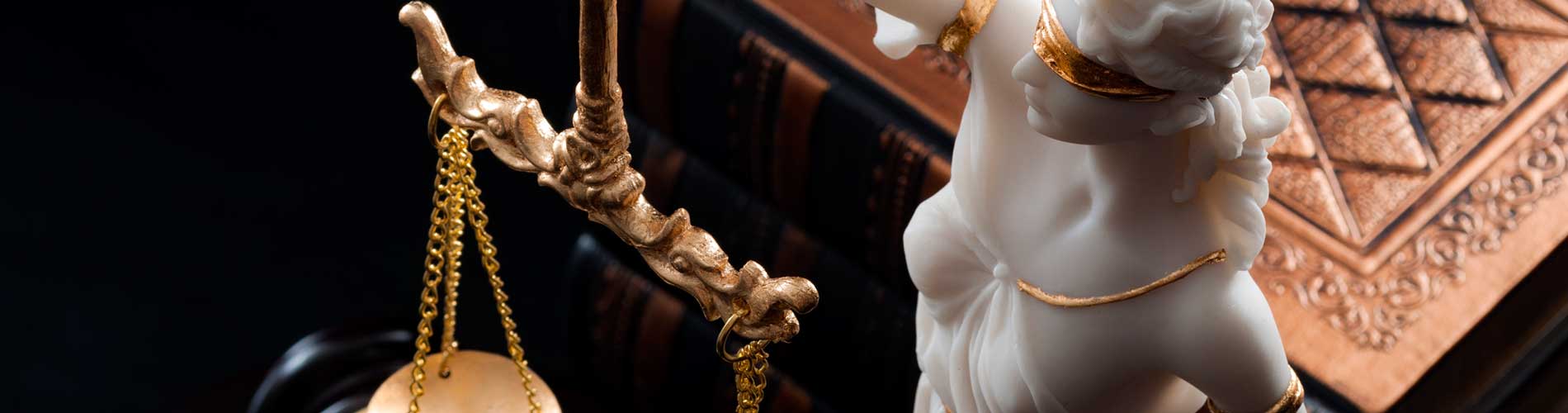 General Litigation - The Porter Law Group, P.C. Rock Hill, SC